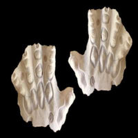 Arthritic Knuckles (pair) | MostlyDead.com