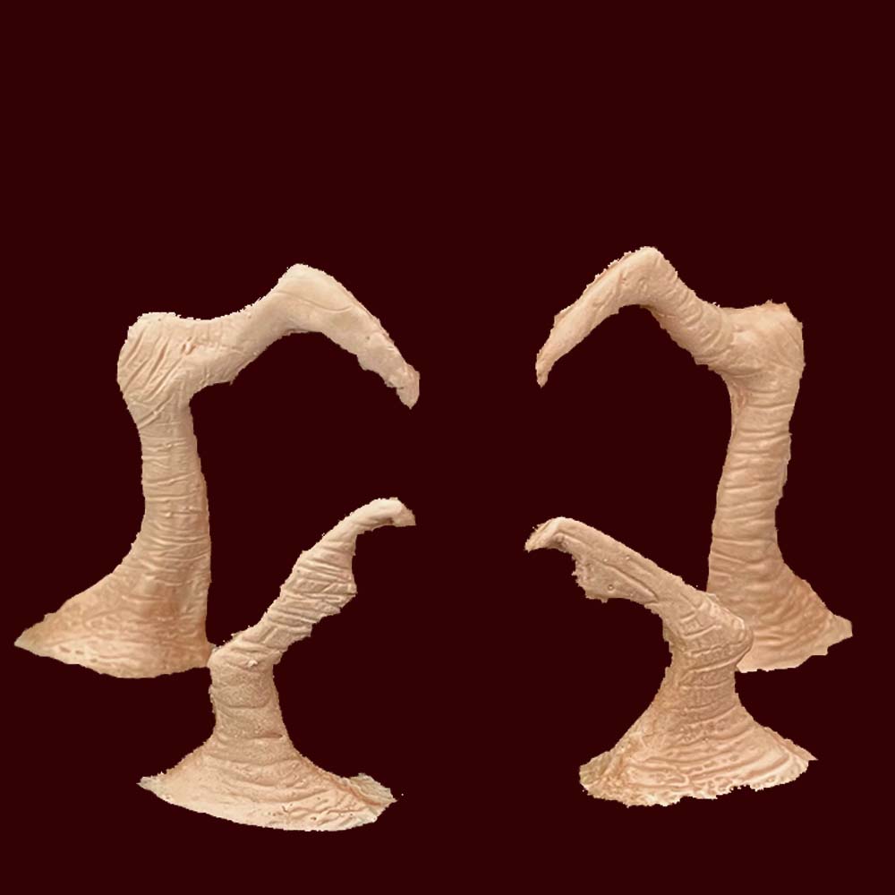 Arachnus | MostlyDead.com