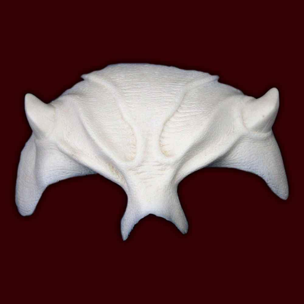 Kurat Demon Brow | MostlyDead.com