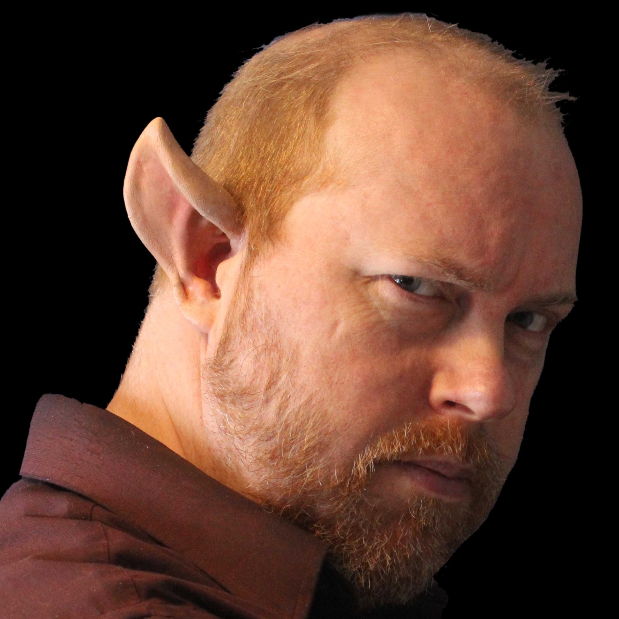 Leprechaun Ears | MostlyDead.com