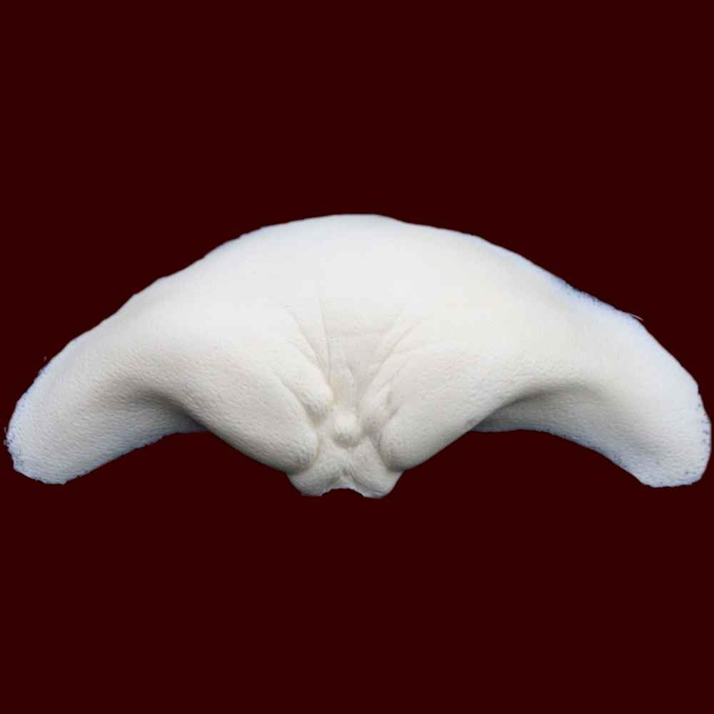 Vampire brow by TMR | MostlyDead.com